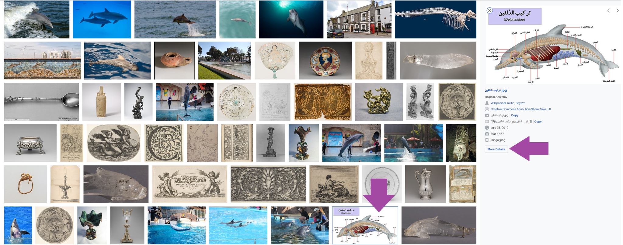 6. Find and Use Openly-Licensed Images: A Step-by-Step Guide | Guide ...